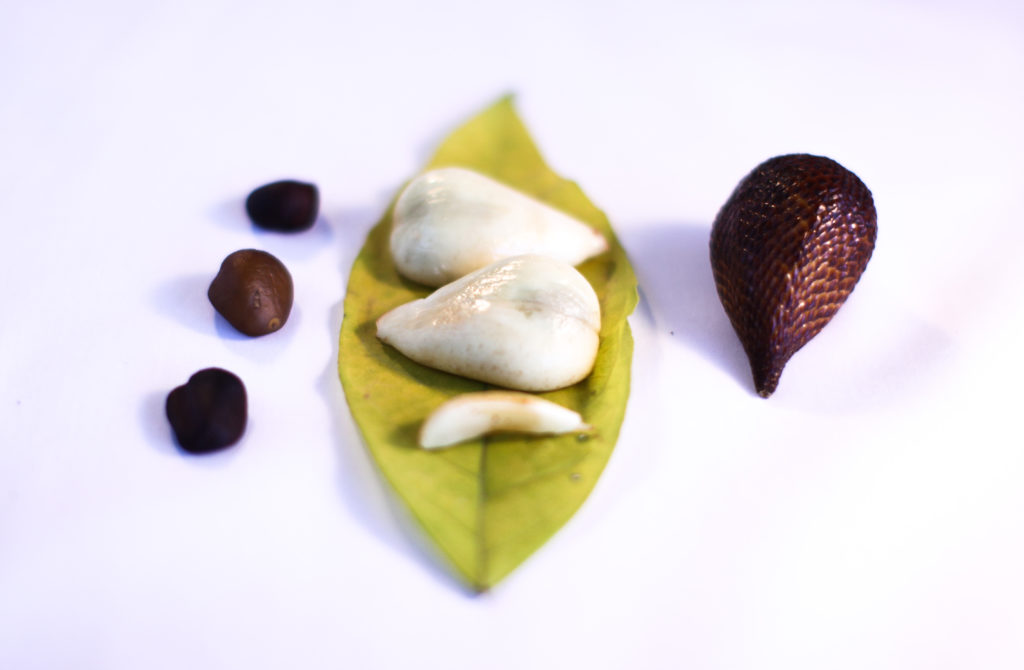 The Charmed Snake Fruit | Superfood for Superheroes